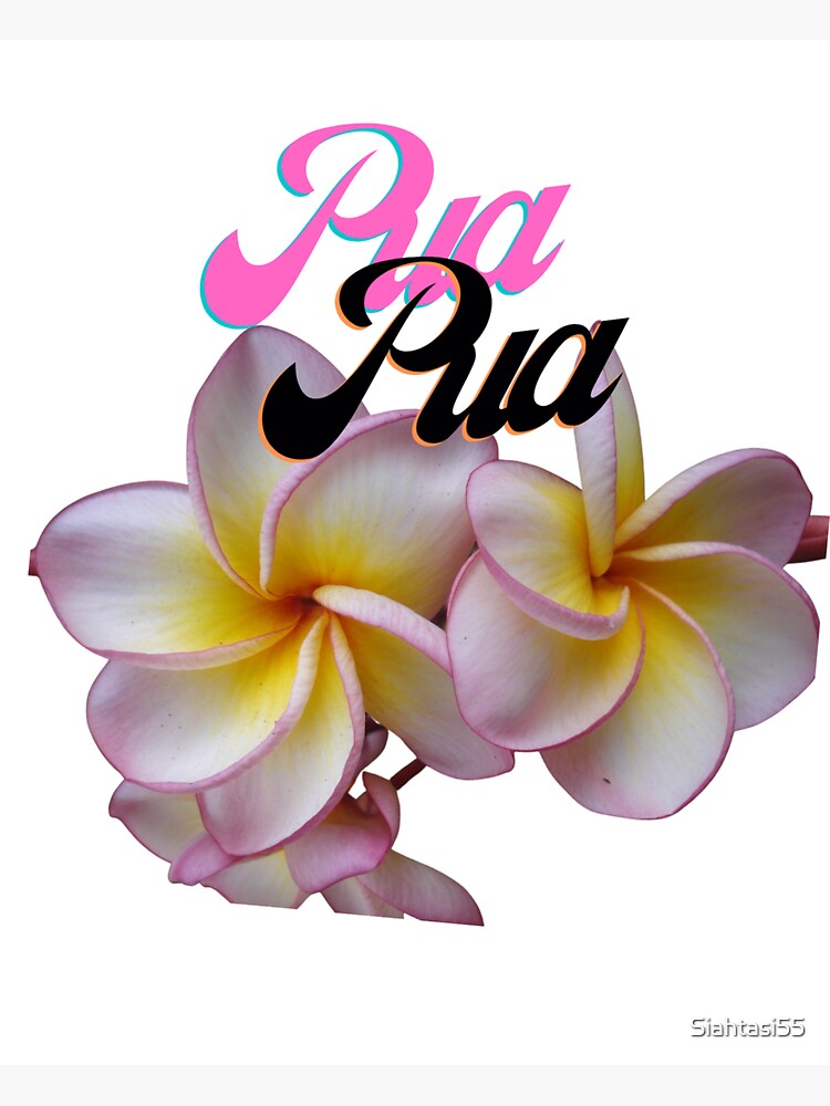"Pua famous Samoan Polynesian name " Sticker for Sale by Siahtasi55 ...