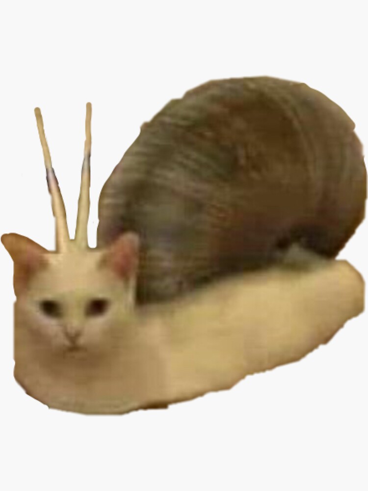 "Cat Snail Meme" Sticker for Sale by sidneysiegel | Redbubble