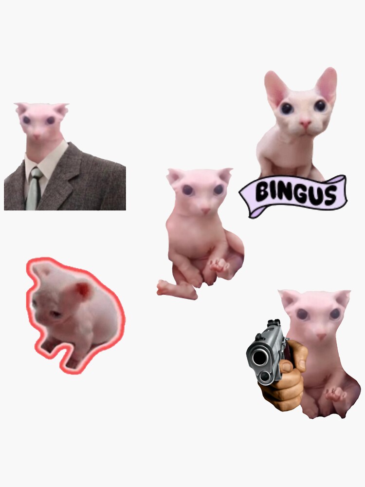 Bingus Merch & Gifts for Sale | Redbubble