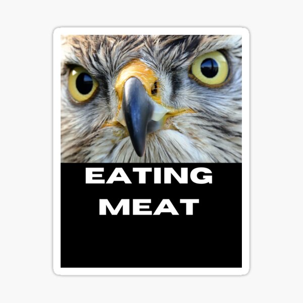 "Outlook t-shirts" Sticker for Sale by Hsaindesignshop | Redbubble