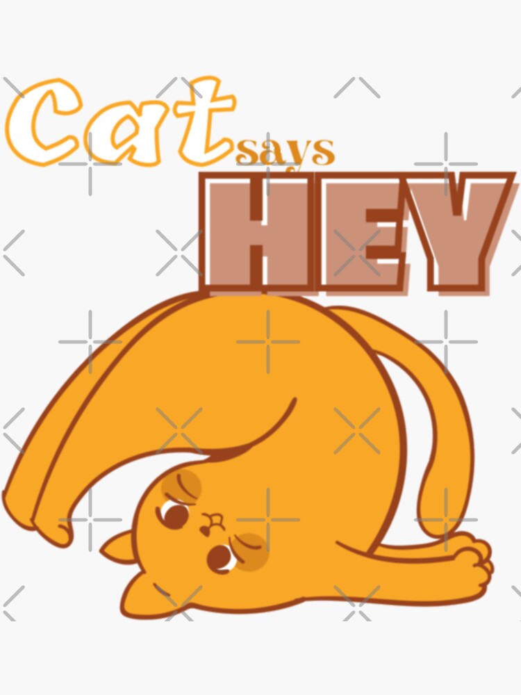 "Cat says hey" Sticker by Okerno | Redbubble