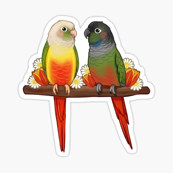 "Cute Conures" Sticker for Sale by meruesan | Redbubble