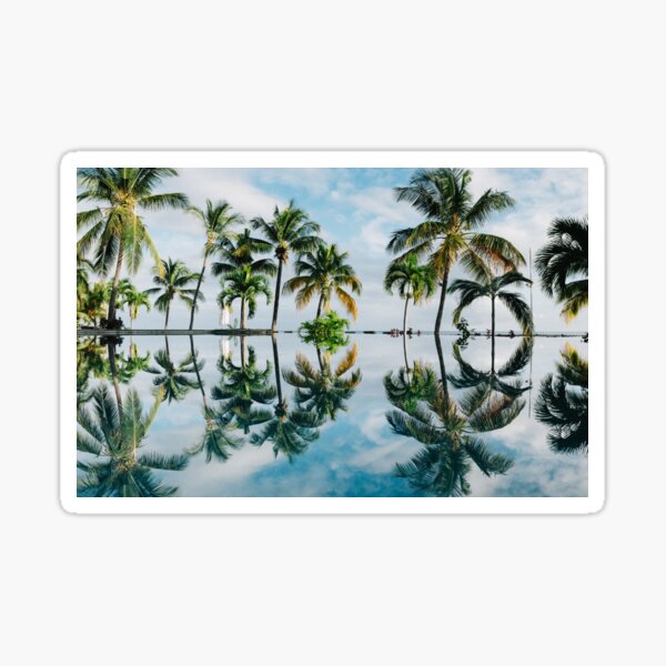"coconut tree" Sticker for Sale by clthaisericardo | Redbubble
