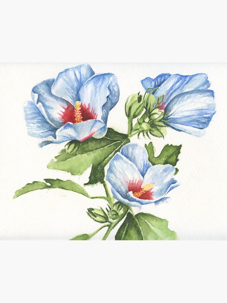 "Rose of Sharon" Sticker by RosemaryLeeB | Redbubble