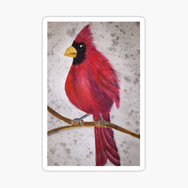"Red cardinal" Sticker for Sale by MirjanaMitrovic | Redbubble