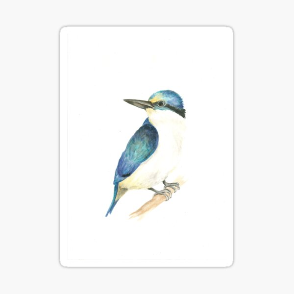 "The Kingfisher" Sticker by LCsArtwork | Redbubble