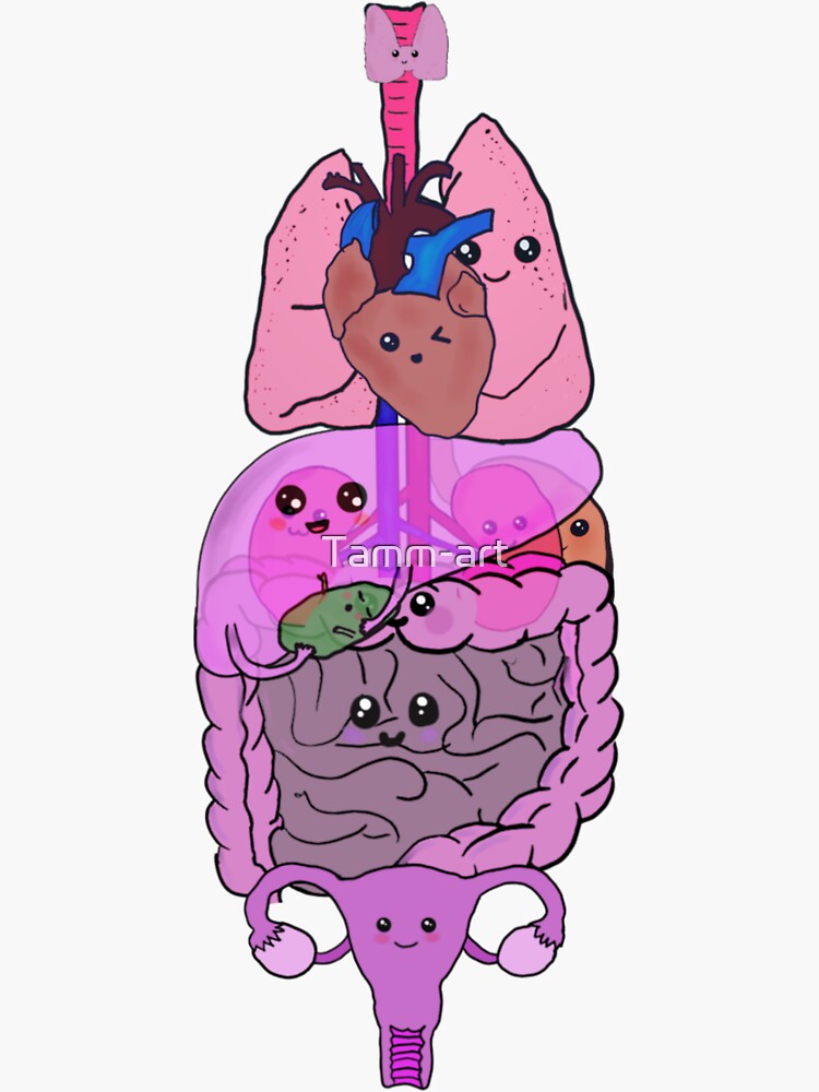 "Cute organs" Sticker by Tamm-art | Redbubble