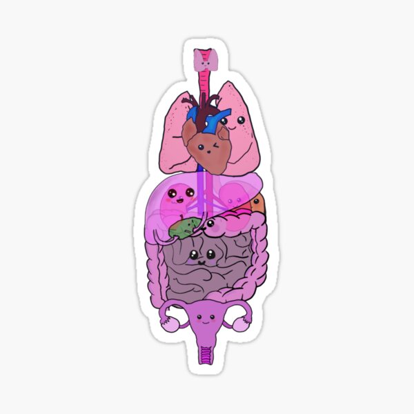 "Cute organs" Sticker by Tamm-art | Redbubble