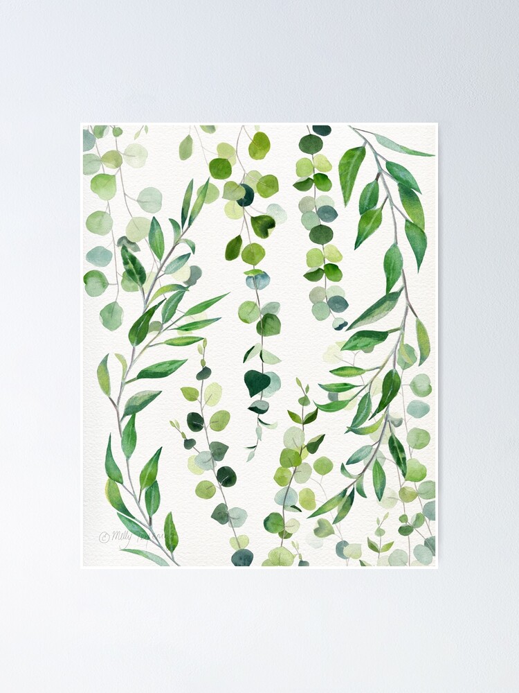 "Nature Green Eucalyptus Leaves " Poster for Sale by MellyTerp | Redbubble