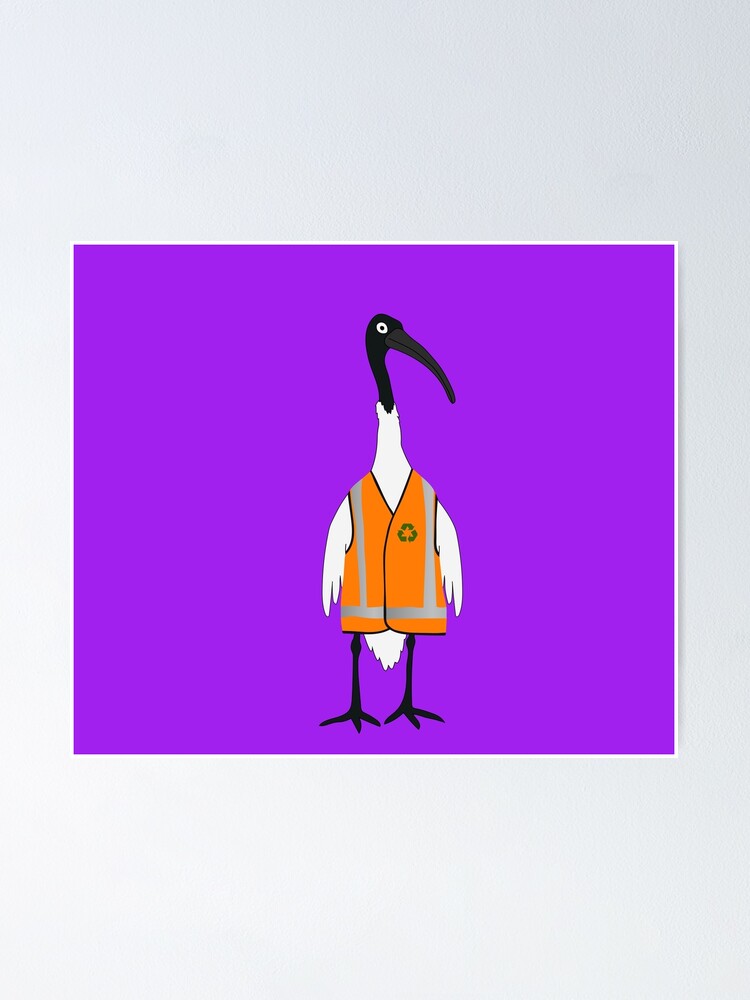 "Bin Chicken Rubbish Collector on Purple" Poster for Sale by ...