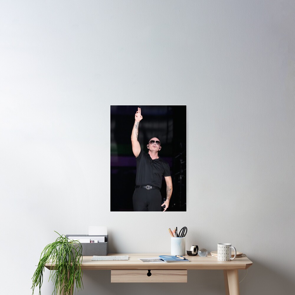 "Pitbull Rapper Illustration Funart" Poster for Sale by dhannylee ...