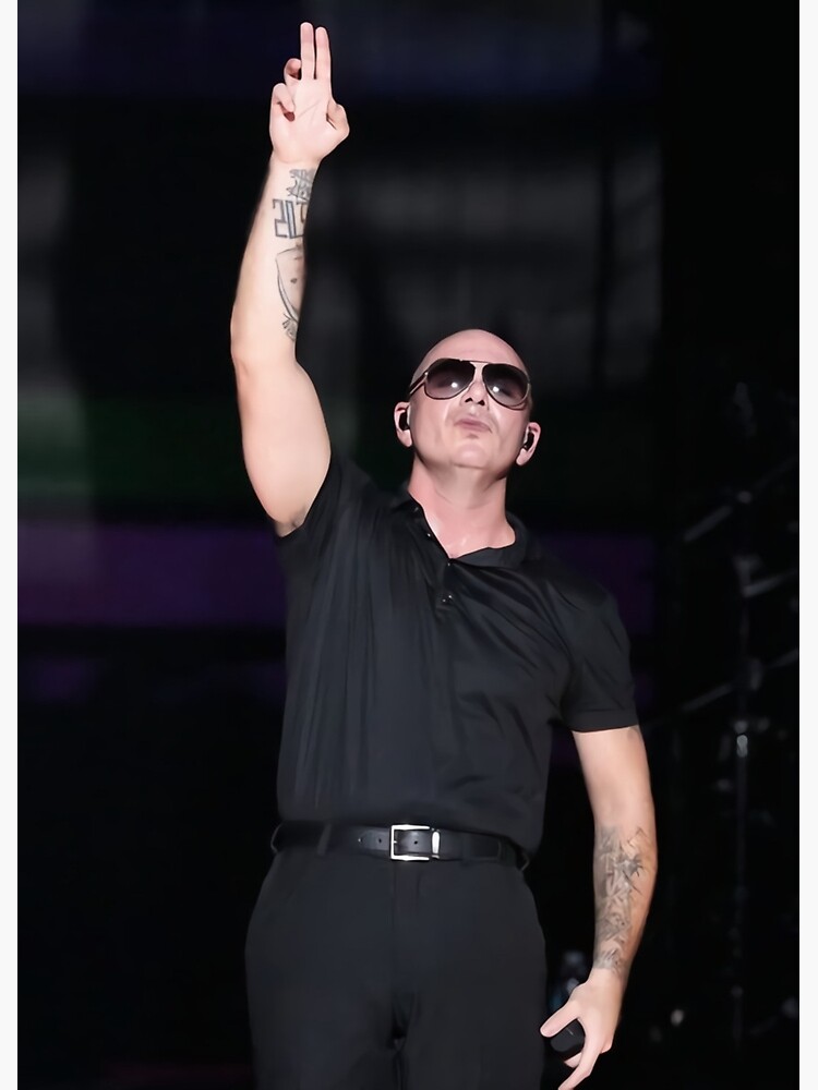 "Pitbull Rapper Illustration Funart" Poster for Sale by dhannylee ...