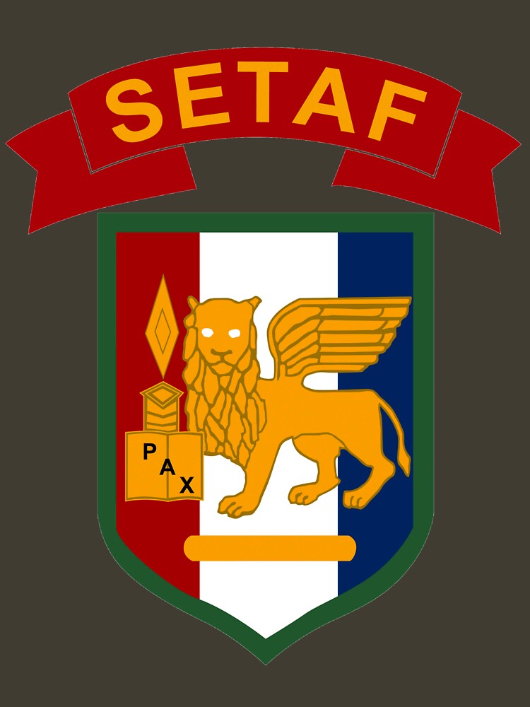 "United States Army Africa (USARAF) / Southern European Task Force ...