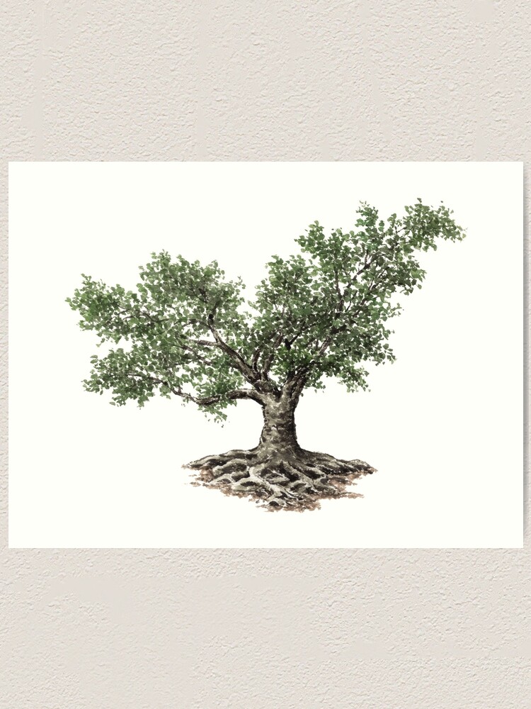"May birthday fig tree" Art Print for Sale by birthflower | Redbubble