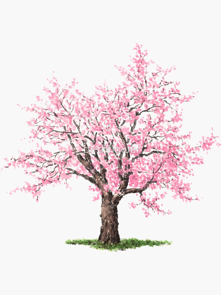 "June birth tree "cherry tree"" Sticker by birthflower | Redbubble