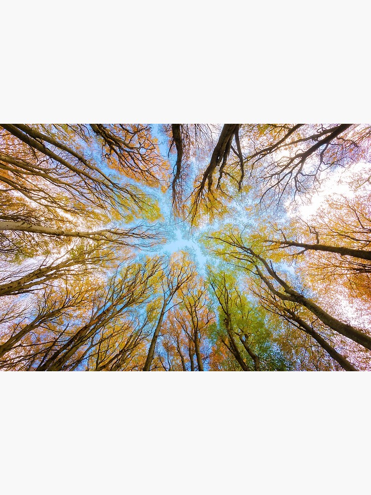 "Crown trees" Poster for Sale by Zip-Zup | Redbubble