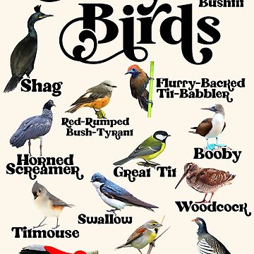 "Dirty Birds & Foul Language" Sticker for Sale by ourkid | Redbubble