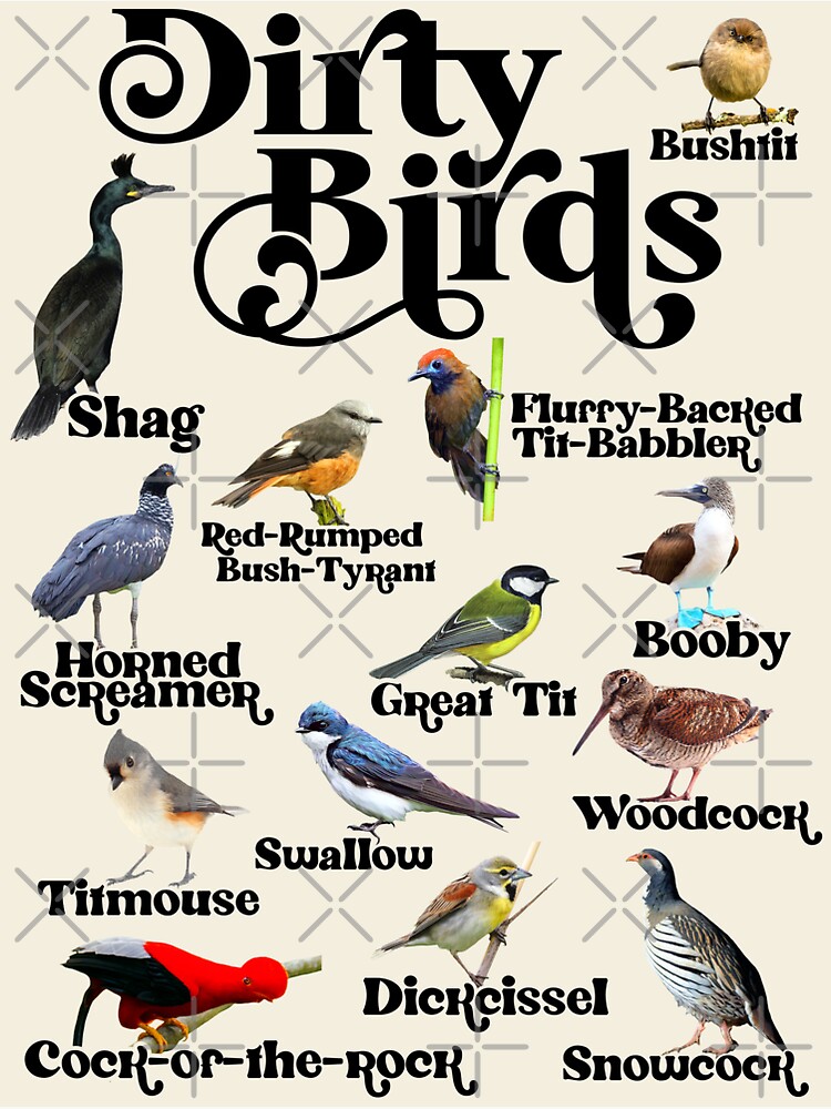 "Dirty Birds & Foul Language" Sticker for Sale by ourkid | Redbubble