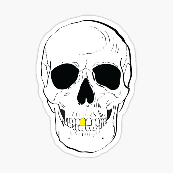 "Human skull with a gold tooth" Sticker for Sale by aquapixel | Redbubble