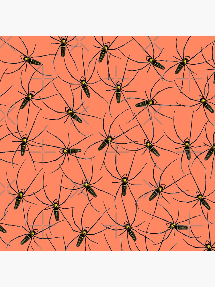 "Salmon Spiders Everywhere" Sticker by couragetoday | Redbubble