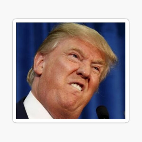 "Trump Face" Sticker for Sale by Natahalia | Redbubble