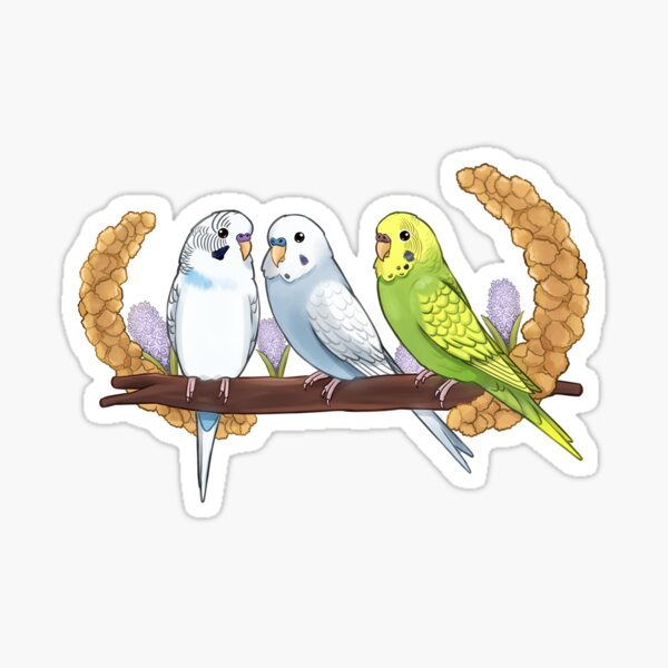 "Cute Budgies" Sticker for Sale by meruesan | Redbubble