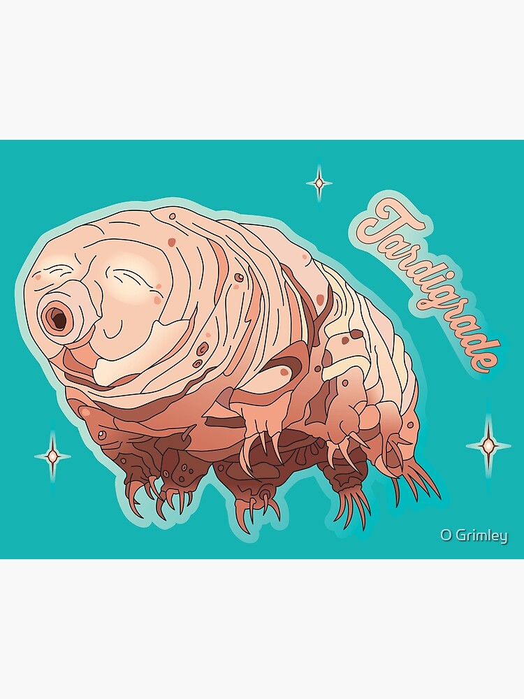 "Tardigrade" Poster for Sale by Olivia-Grimley | Redbubble
