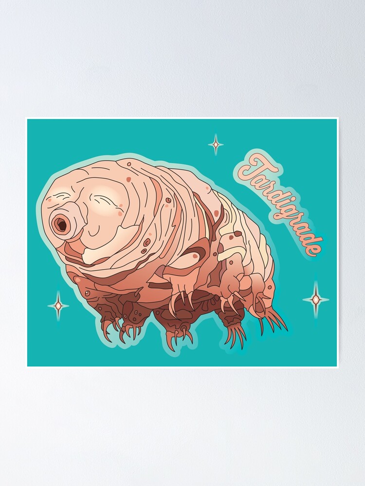 "Tardigrade" Poster for Sale by Olivia-Grimley | Redbubble