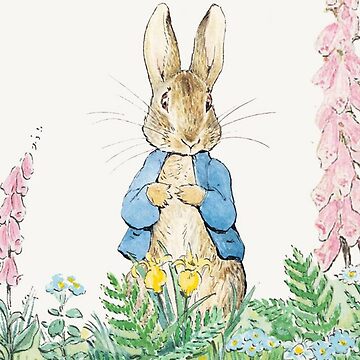 "Beatrix Potter Peter Rabbit and Flowers Illustration " Art Print for ...