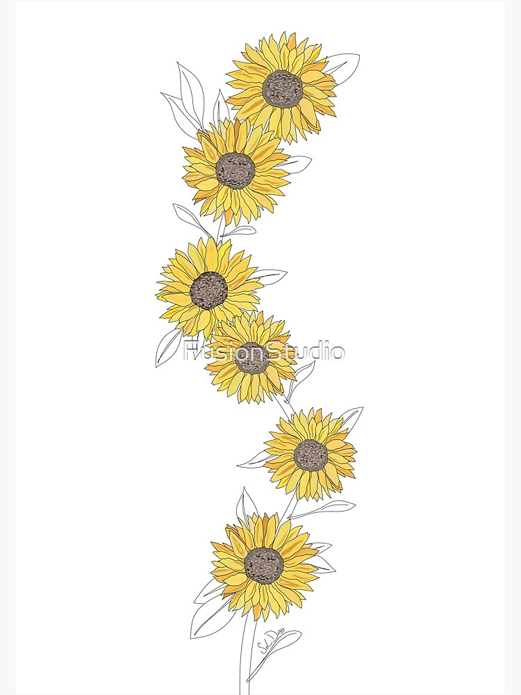 "Sunflower Scoliosis Spine" Poster for Sale by FusionStudio | Redbubble