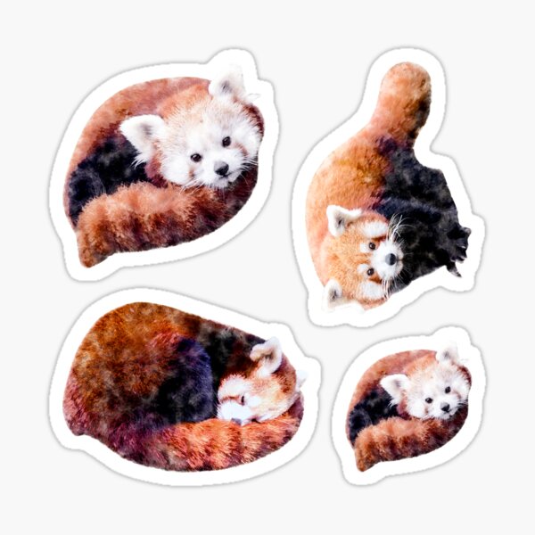 "Red Panda Sticker Set " Sticker by Typeglyphs | Redbubble