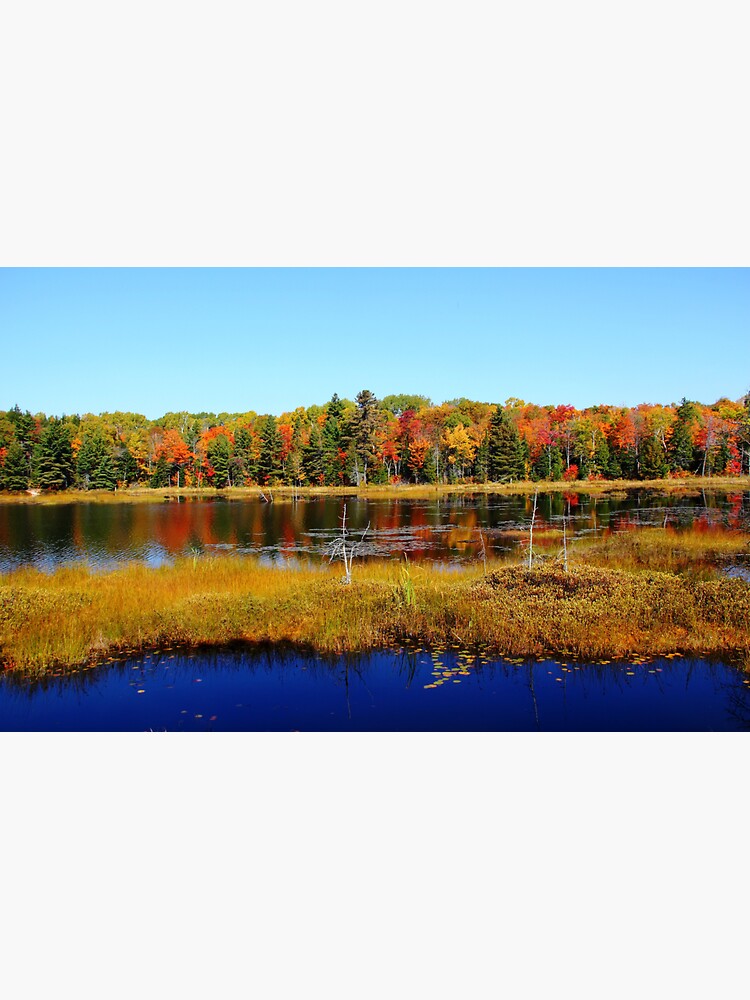 "Fall Marsh" Sticker by debop | Redbubble