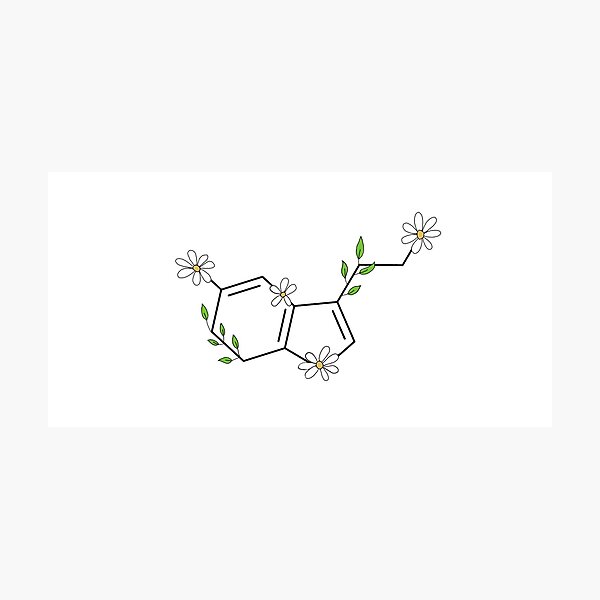"Floral Serotonin Molecule" Photographic Print by kthewlett | Redbubble