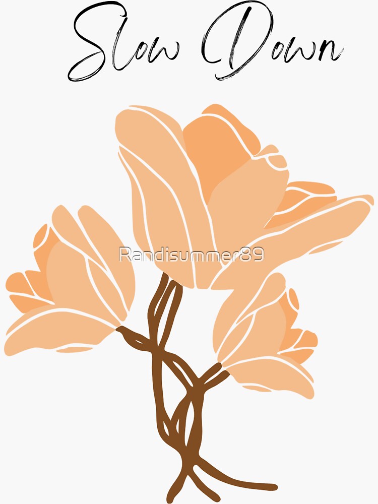 "Slow Down" Sticker by Randisummer89 | Redbubble