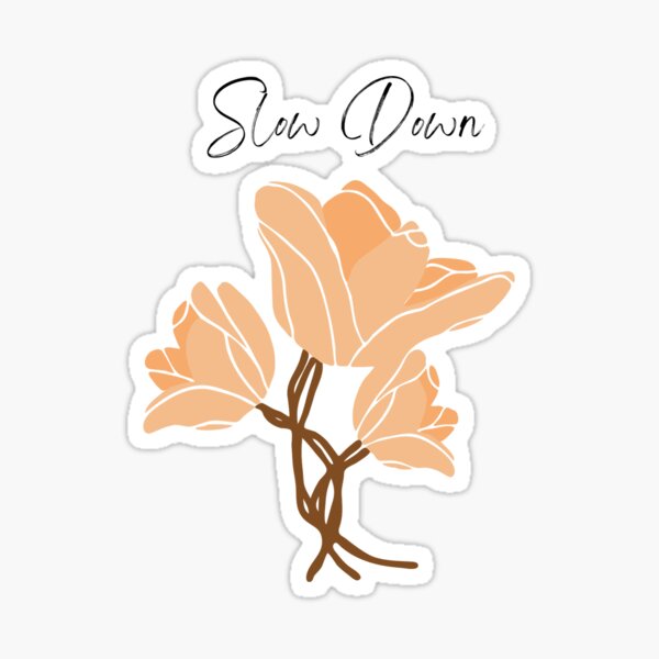 "Slow Down" Sticker by Randisummer89 | Redbubble