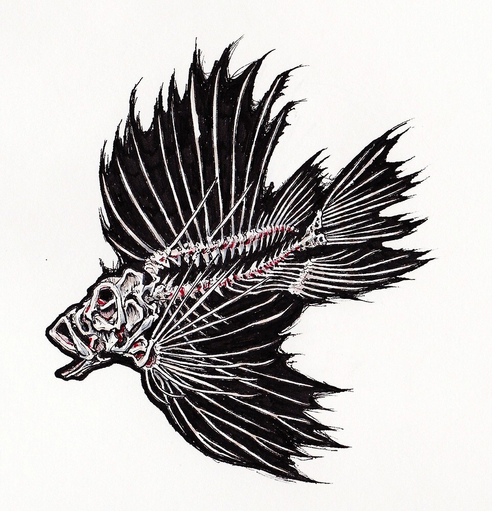 "X-ray Lionfish" by dryriverart | Redbubble