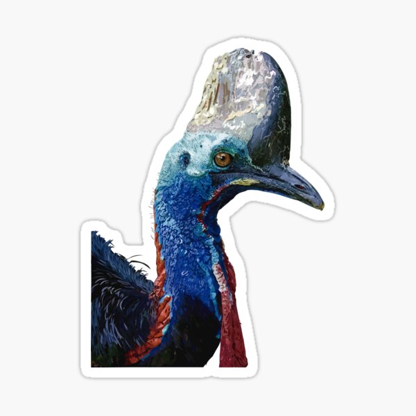 "Cassowary" Sticker for Sale by obscurite | Redbubble