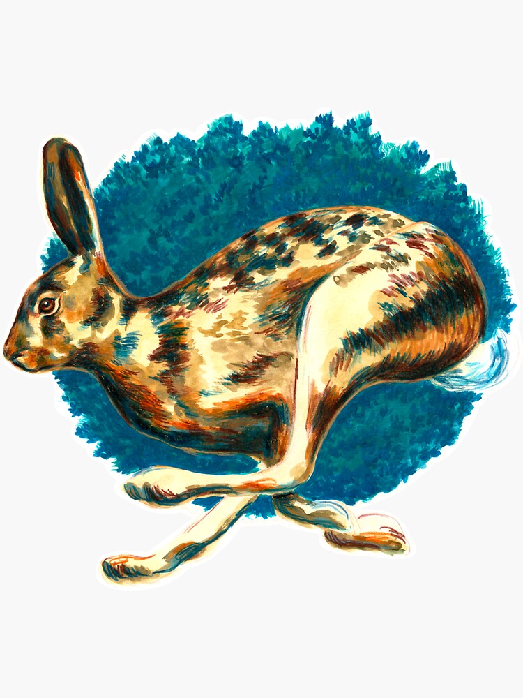 "Hare" Sticker by LuciaCarliniRb | Redbubble