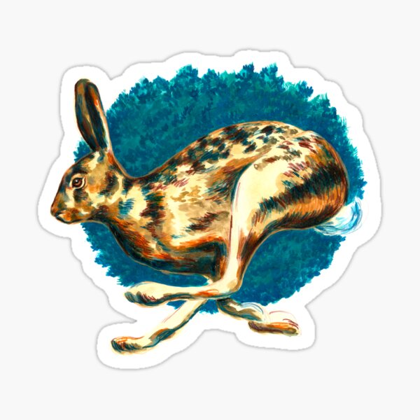 "Hare" Sticker by LuciaCarliniRb | Redbubble