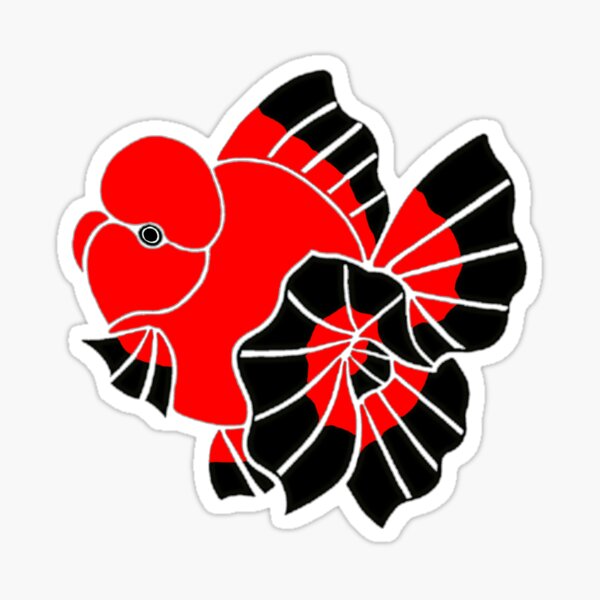 "Oranda Goldfish Logo 1218D" Sticker for Sale by Nosnah | Redbubble