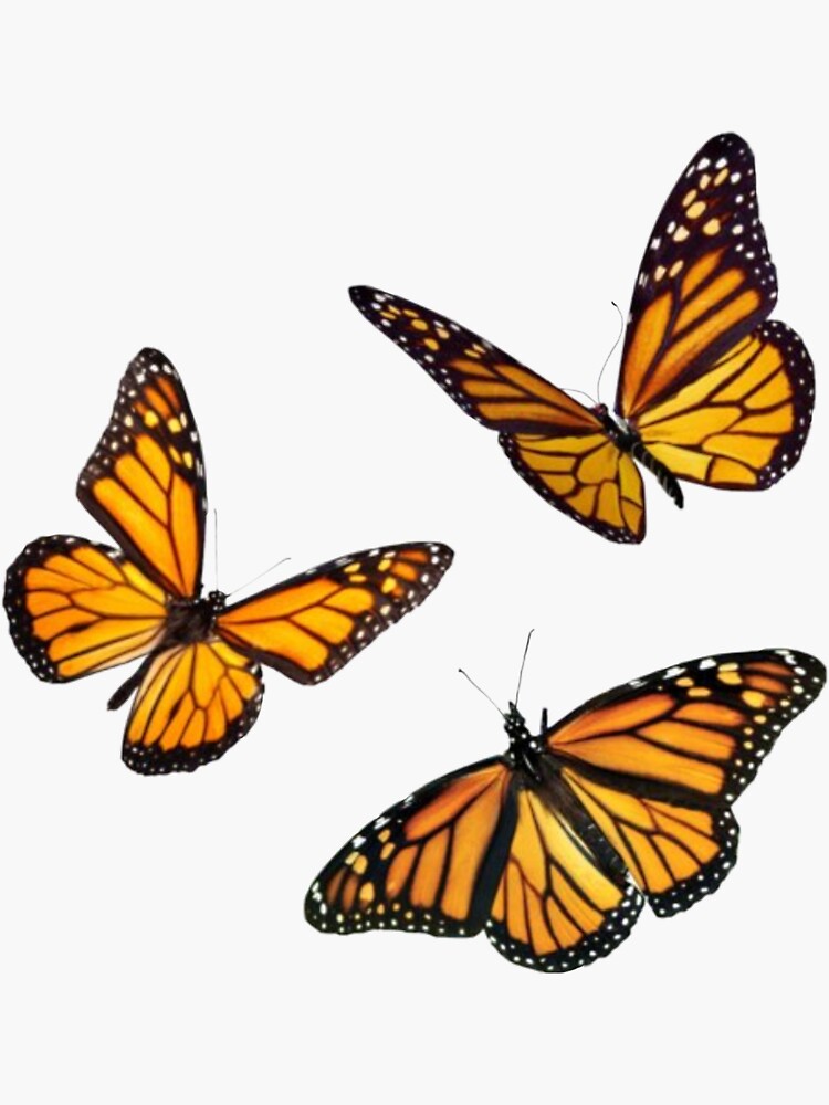 "orange butterfly sticker pack " Sticker for Sale by stickerbylucyy ...