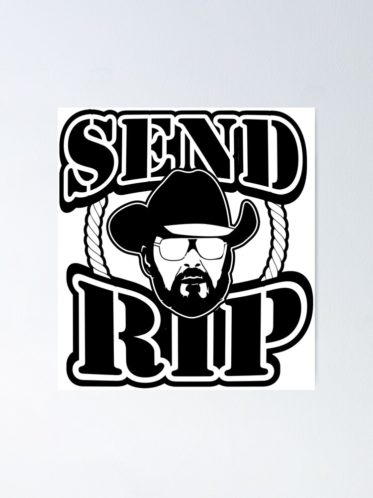 "Send Rip" Poster for Sale by fonsecastein | Redbubble