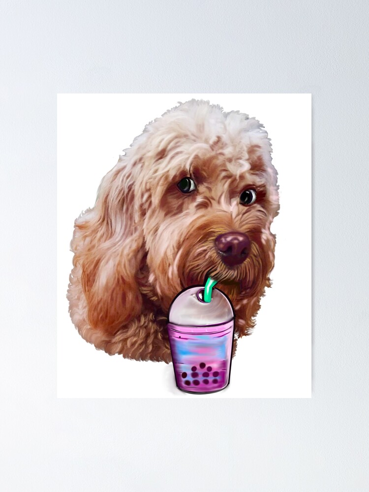 "Cavapoo Cavoodle puppy dog sipping Bubble tea - funny cute cavalier ...