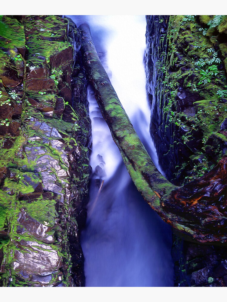 ""Sol Duc River Slot"" Sticker by DeanLeeU | Redbubble