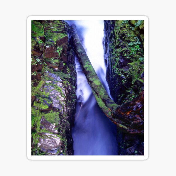 ""Sol Duc River Slot"" Sticker by DeanLeeU | Redbubble