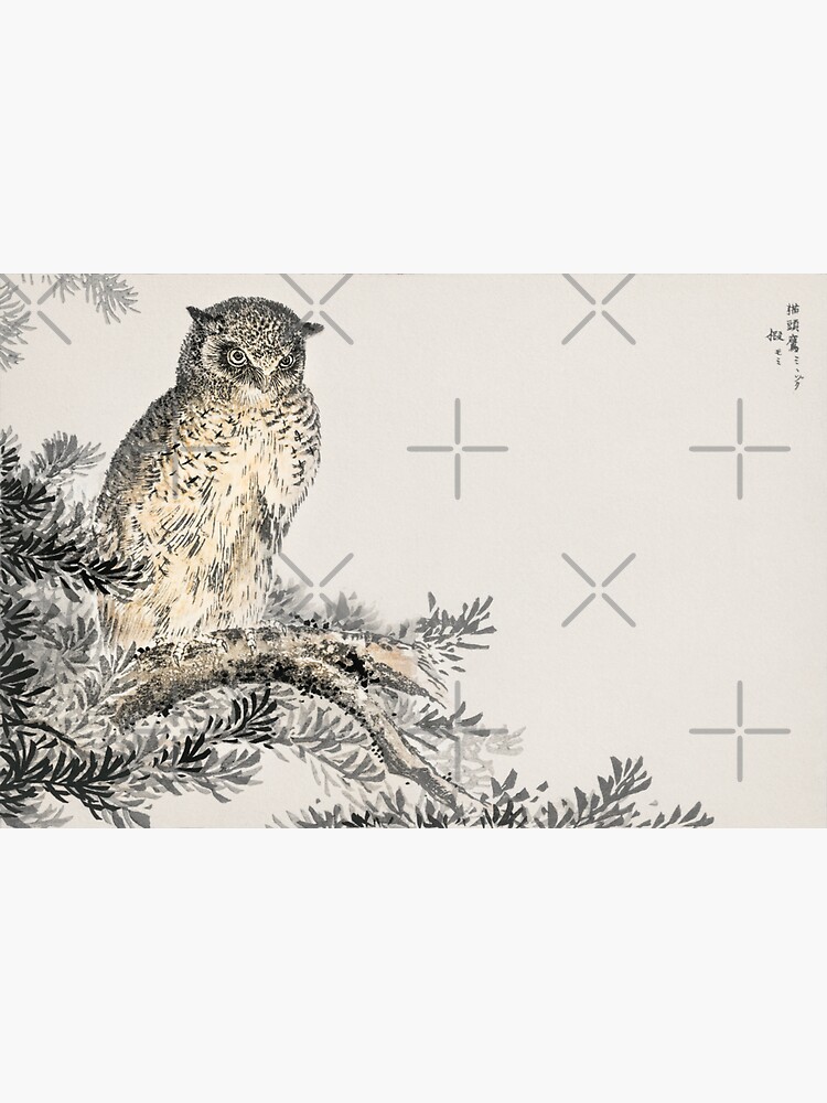 "Japanese Scops Owl and Fir Illustration from Pictorial Monograph of ...