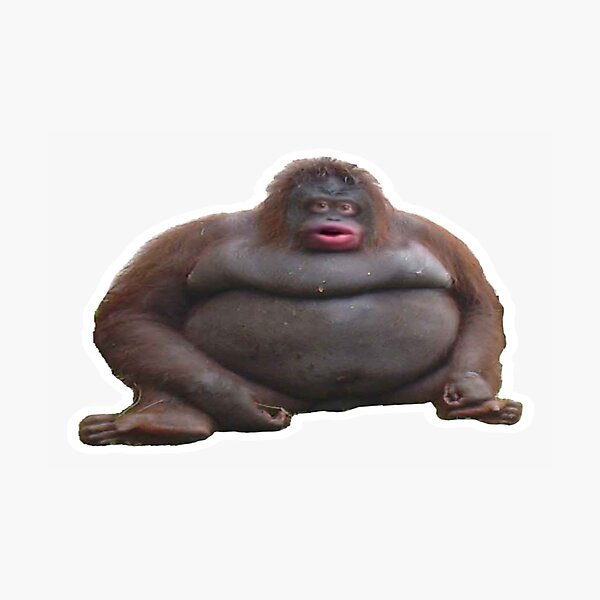 Lámina fotográfica «el mejor le monke merch de todos los tiempos» de ...