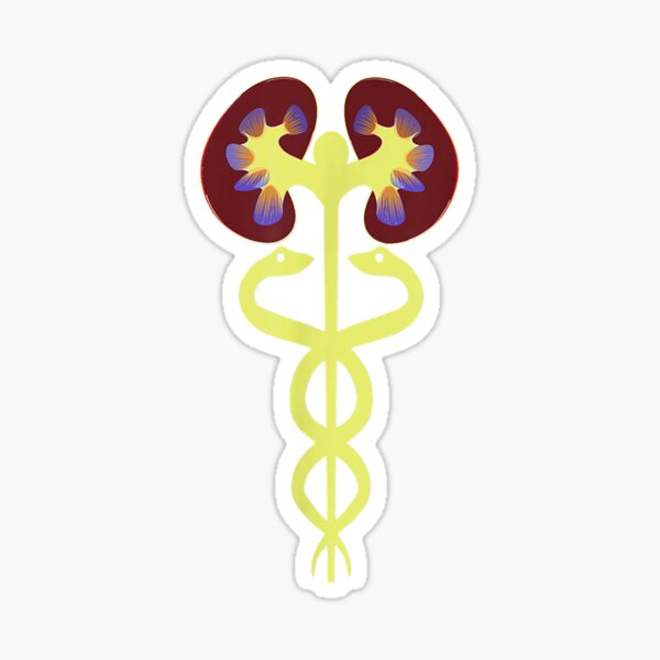 "Kidneys Caduceus Medical Emblem Nephrology Dialysis Gifts T-Shirt ...