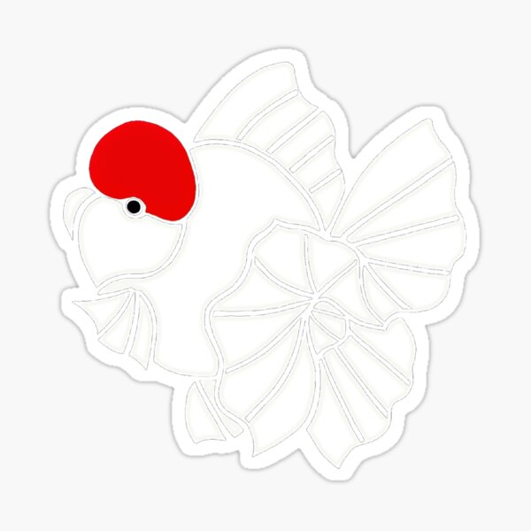 "Oranda Red Cap Goldfish Logo 1205H" Sticker by Nosnah | Redbubble