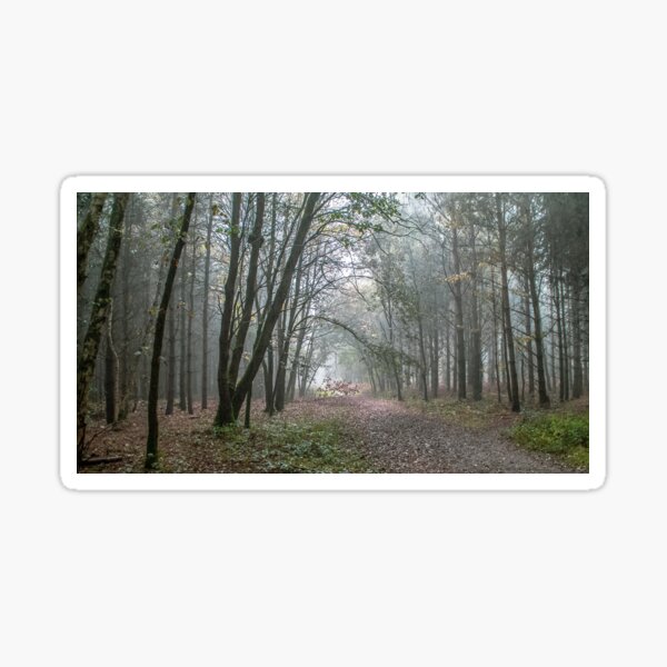 "Into the Mist" Sticker by Gazsmith | Redbubble
